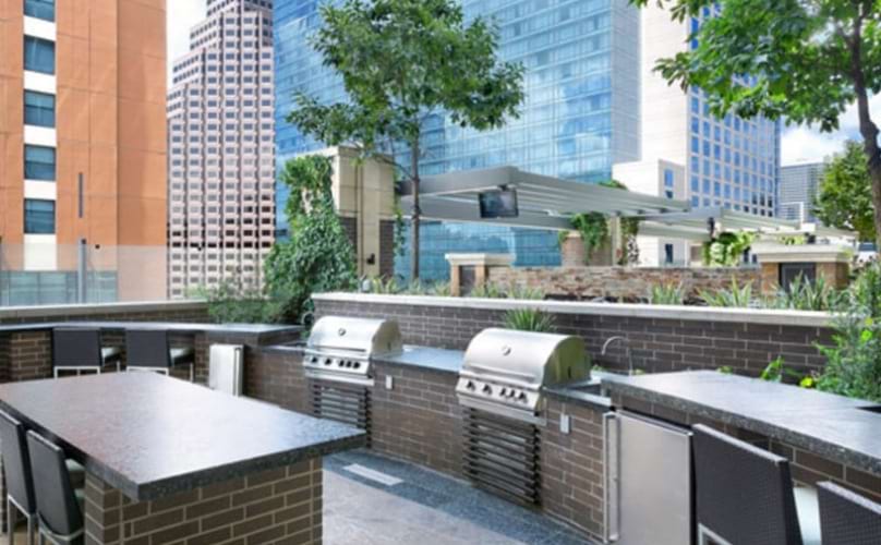 Pet-friendly apartments in Austin, TX | Whitley